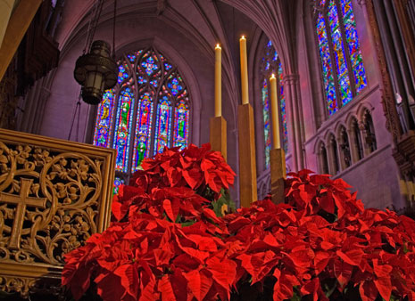 Duke Chapel Comes Alive During the Holidays | Duke Today