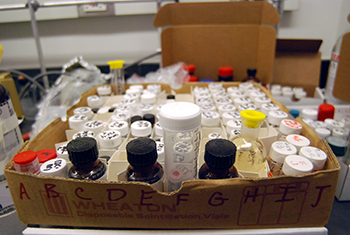 When One Man’s ‘Trash’ Really is Treasure | Duke Today