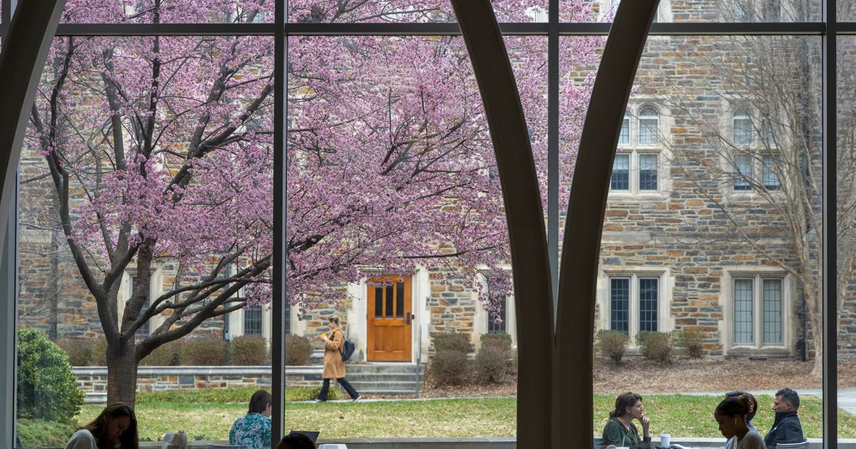 Early February, Early Spring | Duke Today