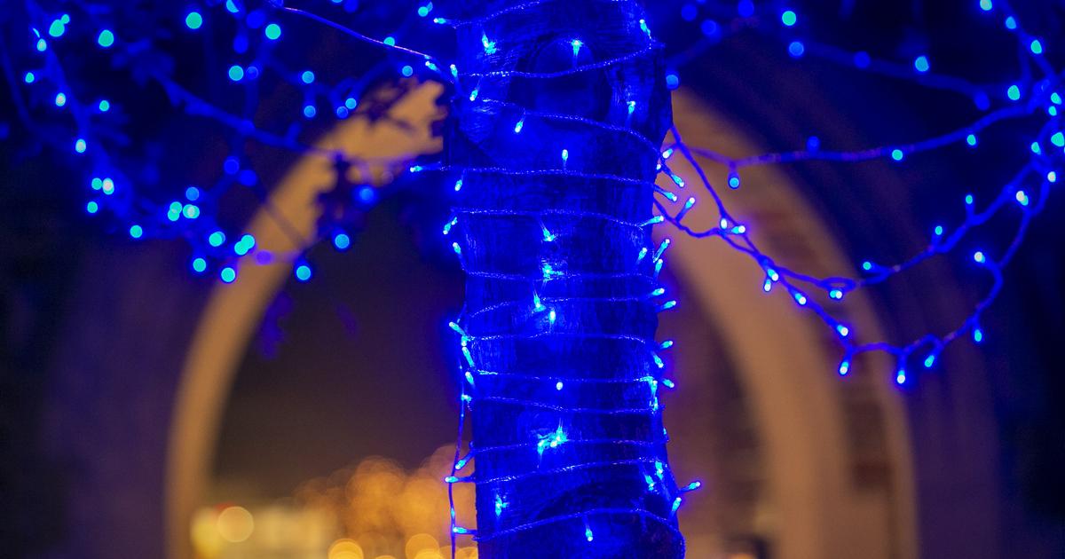 A Duke Holiday Message: Let It Snow! | Duke Today