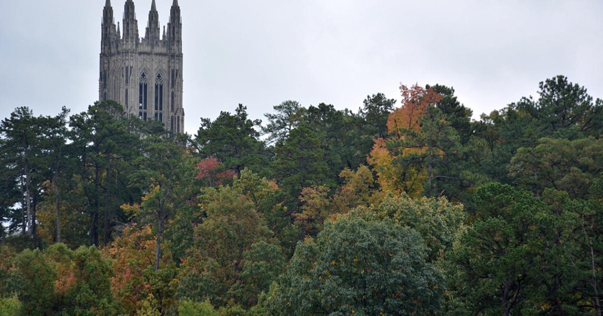 4 Campus Sanctuaries to Enjoy Fall | Duke Today